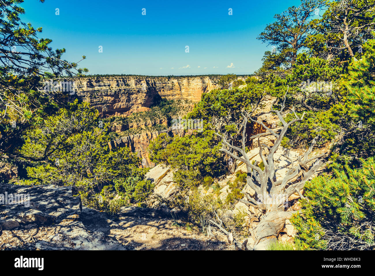 Grand Canyon view, Arizona, USA Stock Photo - Alamy