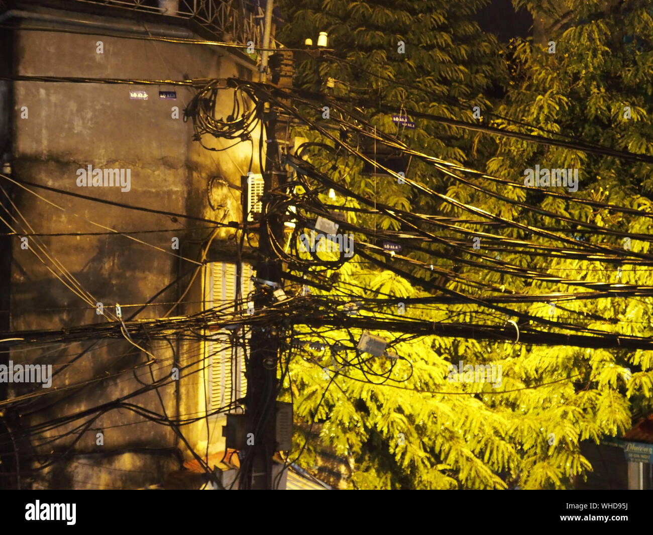 Tree power line hi-res stock photography and images - Alamy