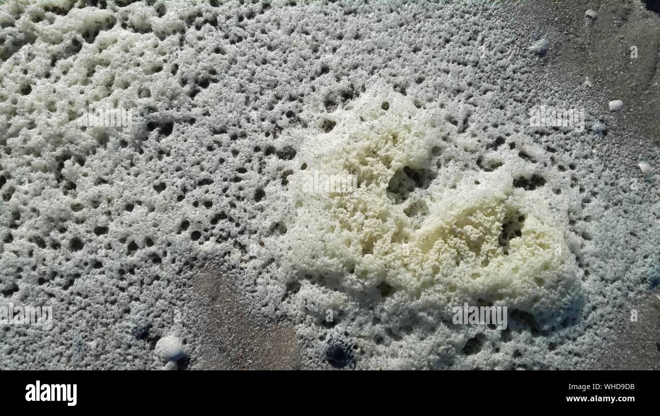 Lather High Resolution Stock Photography and Images - Alamy