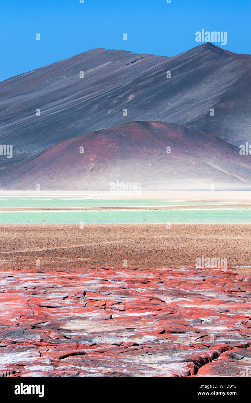 Atacama desert landscape red andes hi-res stock photography and images ...