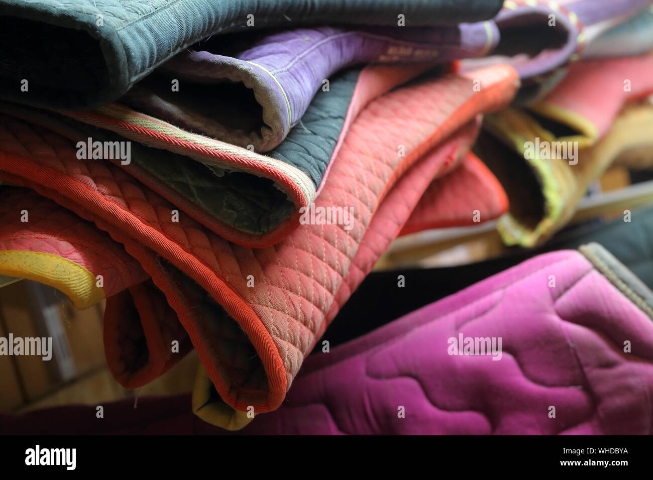 Saddle Pad High Resolution Stock Photography and Images - Alamy
