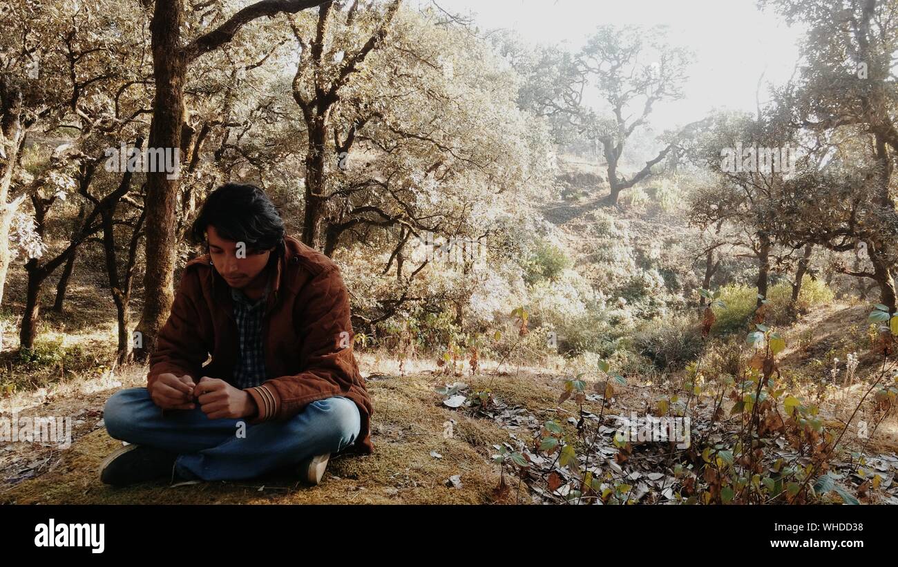 Young Man Sitting Against Trees On Field At Forest Stock Photo - Alamy