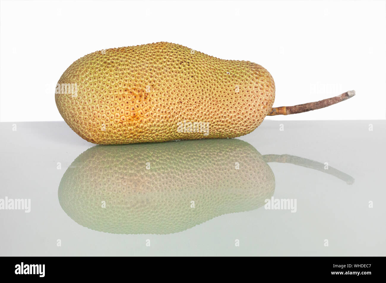 Jackfruit Pattern High Resolution Stock Photography and Images - Alamy