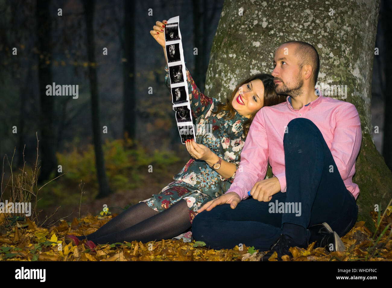 Tree images hi-res stock photography and images - Alamy