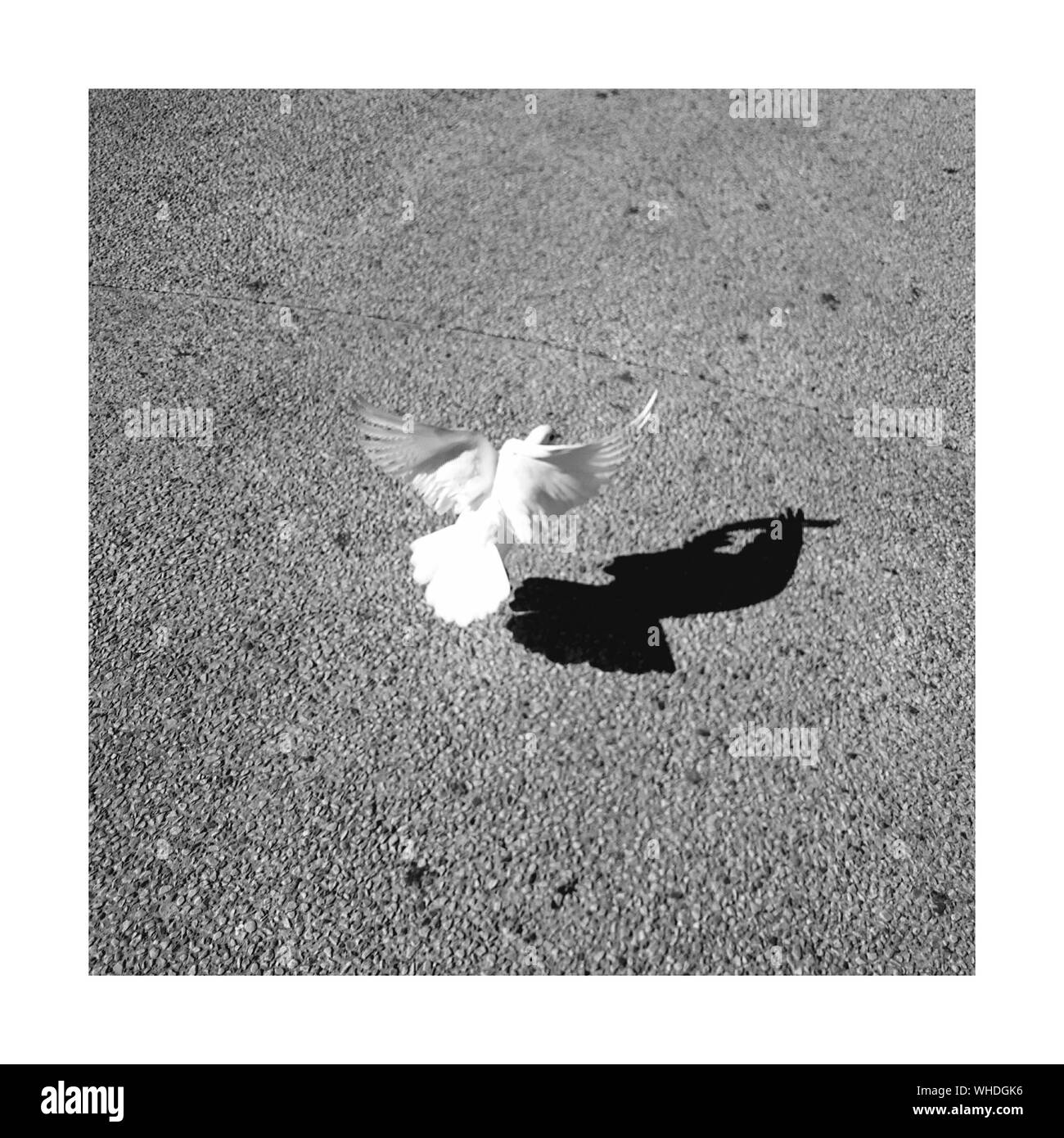 Flying symbols hi-res stock photography and images - Alamy