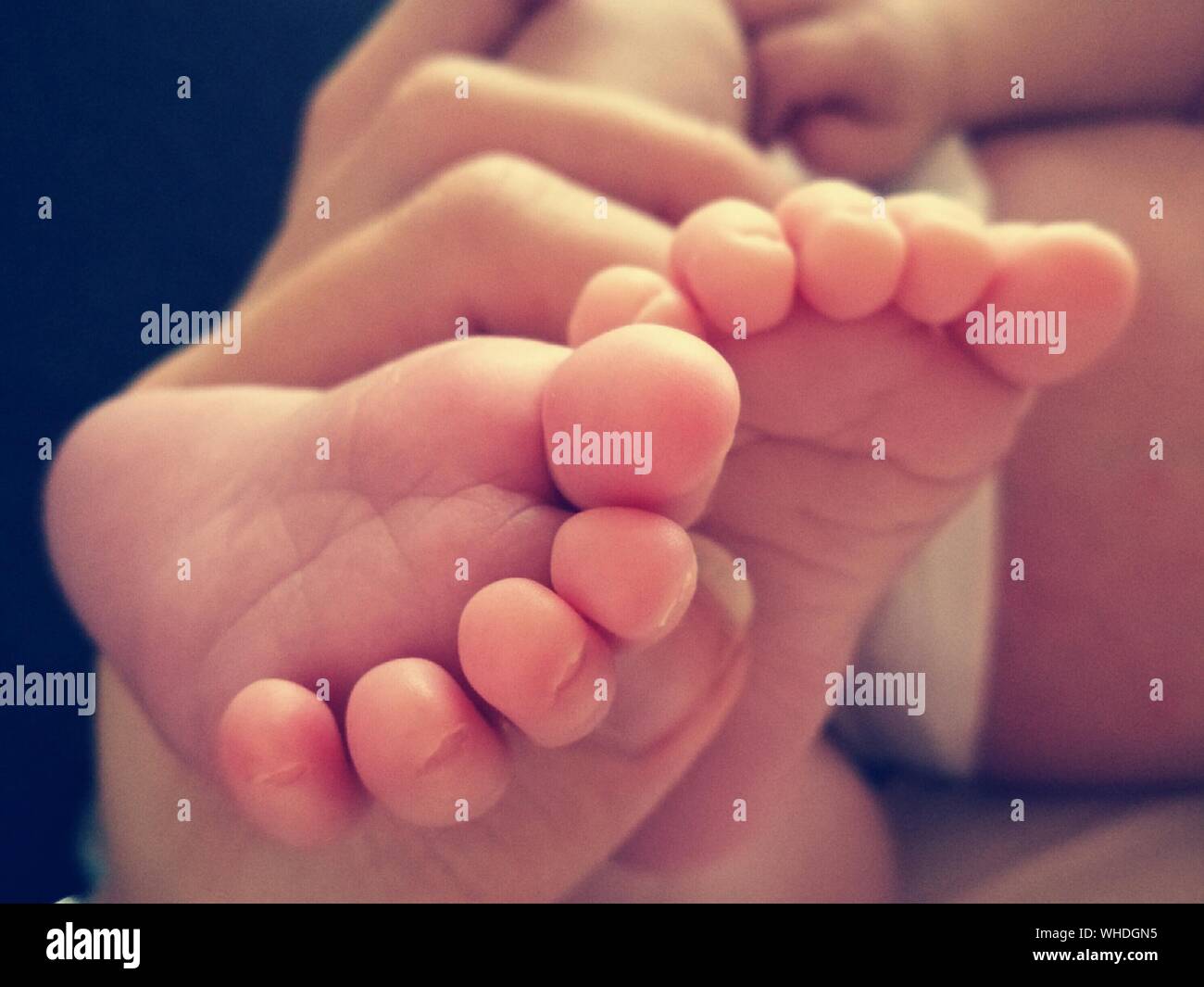 Baby feet with mother hand hi-res stock photography and images - Alamy