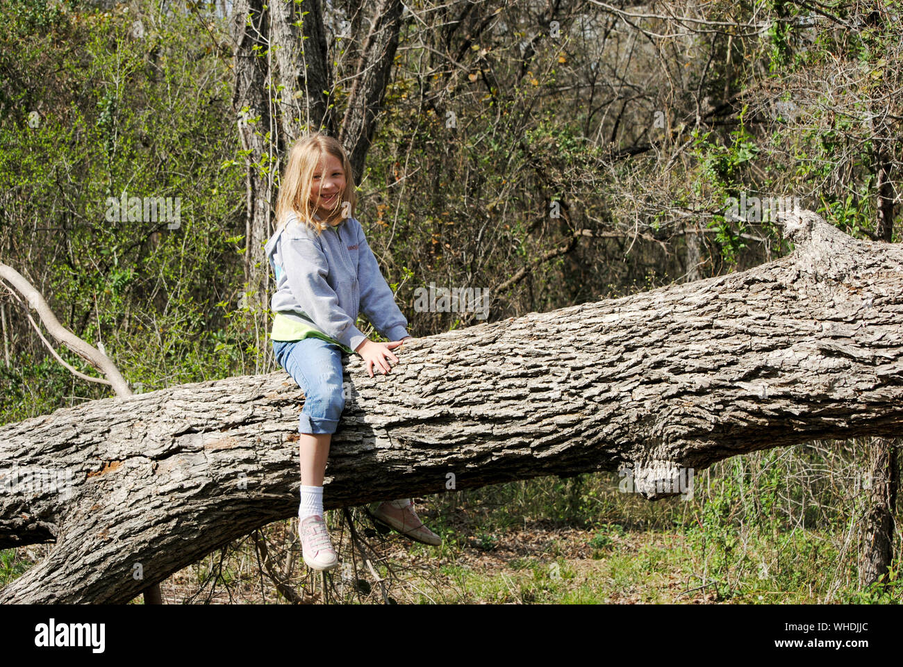 Girl sitting on tree forest hi-res stock photography and images - Alamy
