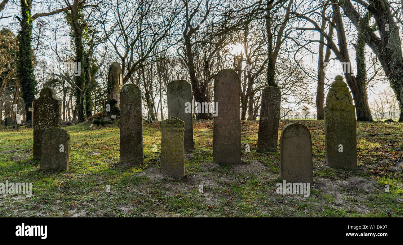 Trees In Cemetery Stock Photo - Alamy
