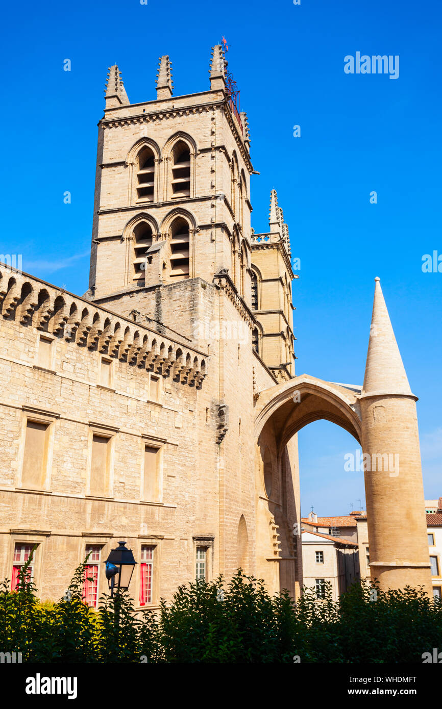 Montpellier Cathedral or Saint Pierre Cathedral is a roman catholic ...