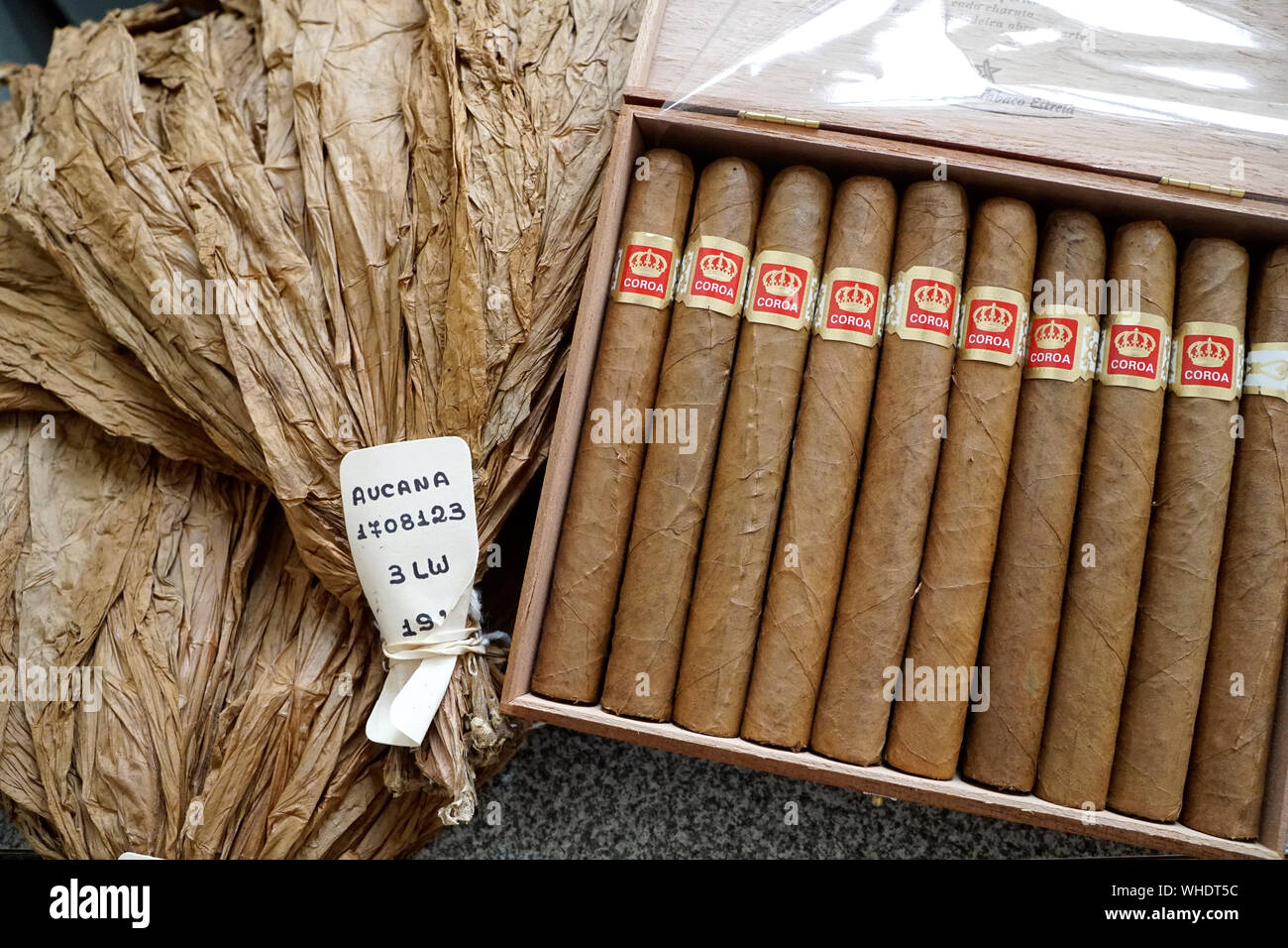 Cigar Brand High Resolution Stock Photography and Images - Alamy