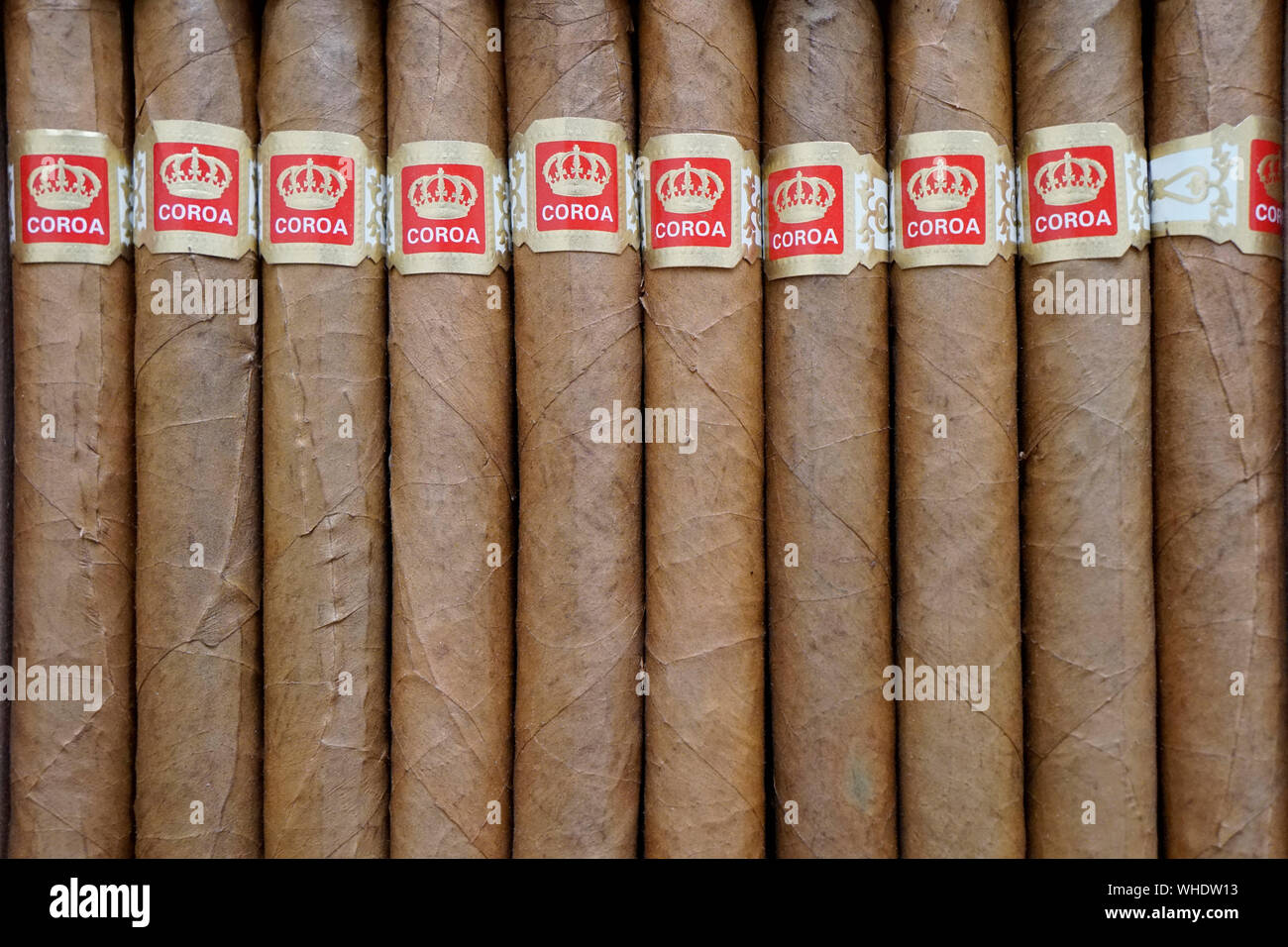 Cuban Leaf High Resolution Stock Photography and Images - Alamy