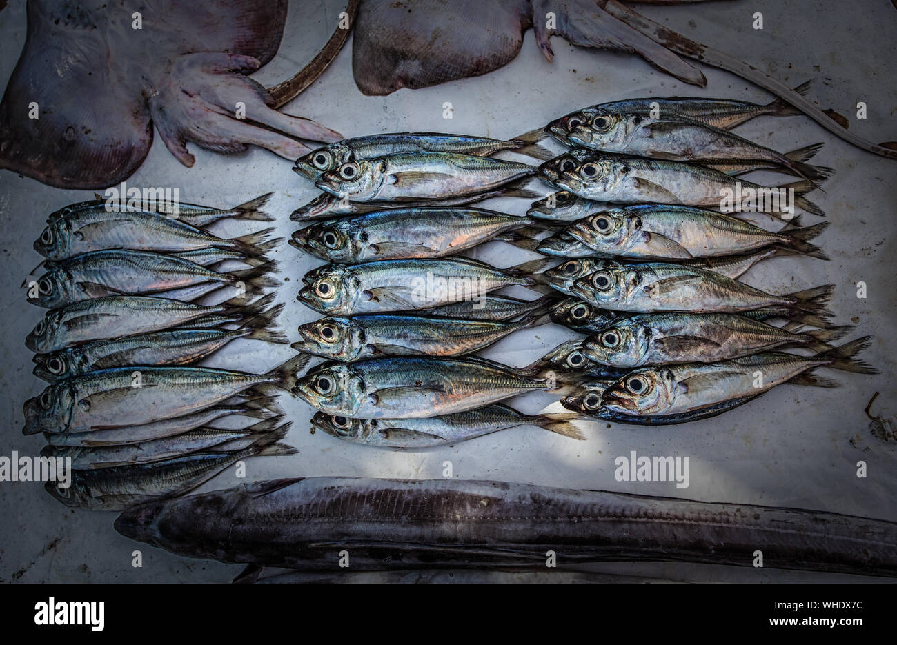Essaouira Fish Market High Resolution Stock Photography and Images - Alamy