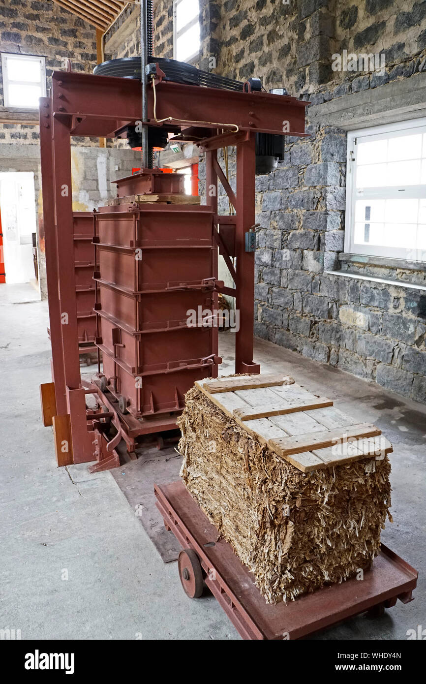 Hand Smoking Cigars Cigar High Resolution Stock Photography and Images ...