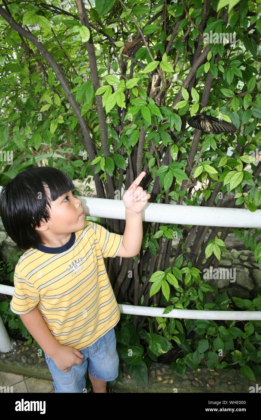 Child pointing at plant hi-res stock photography and images - Alamy