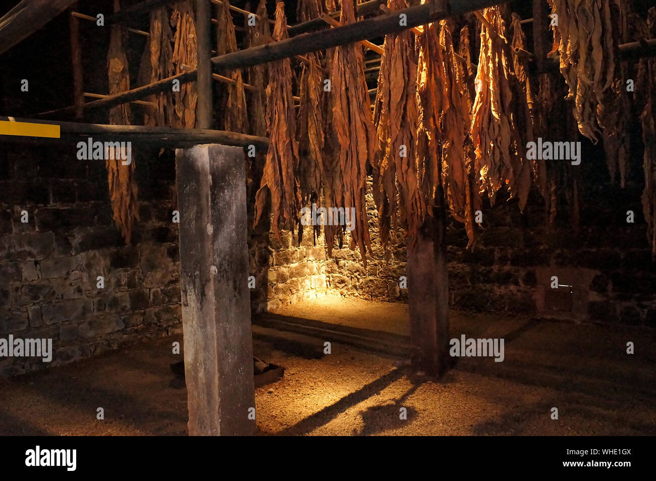 Hand Smoking Cigars Cigar High Resolution Stock Photography and Images ...