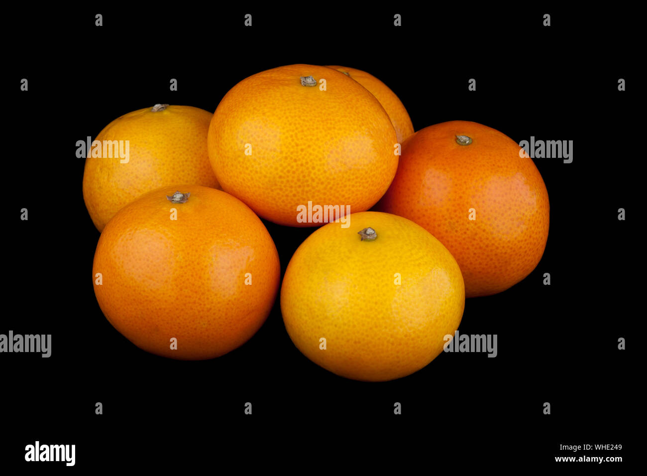 A pile of Chinese mandarin oranges isolated against a black background ...