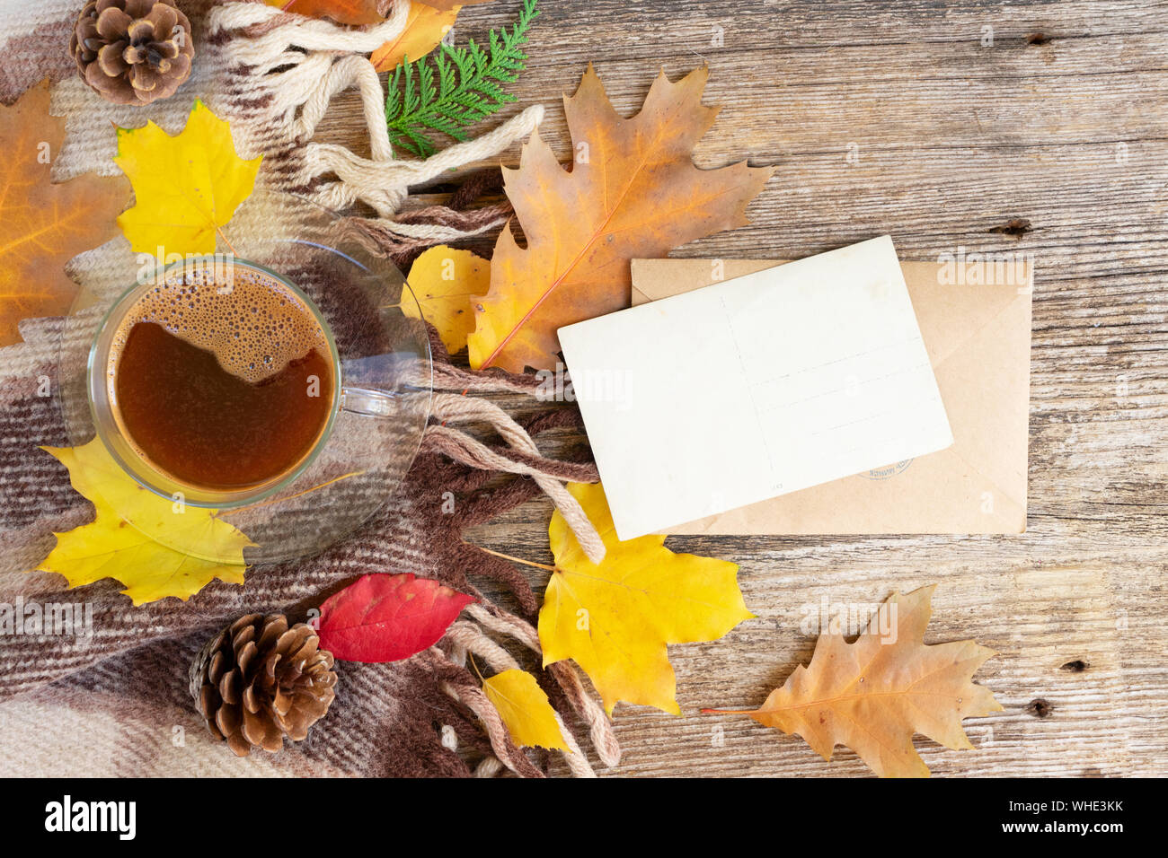 Fall leaves autumn background Stock Photo - Alamy