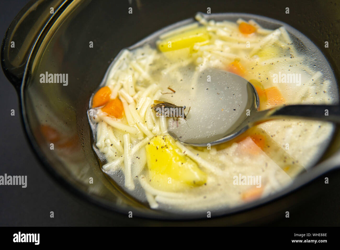 Hot steam soup hi-res stock photography and images - Alamy