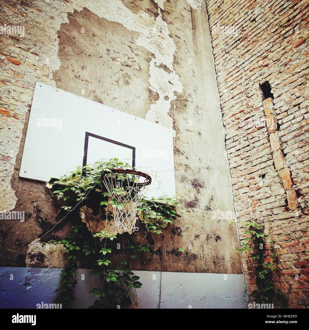 Backyard basketball hoop hi-res stock photography and images - Alamy