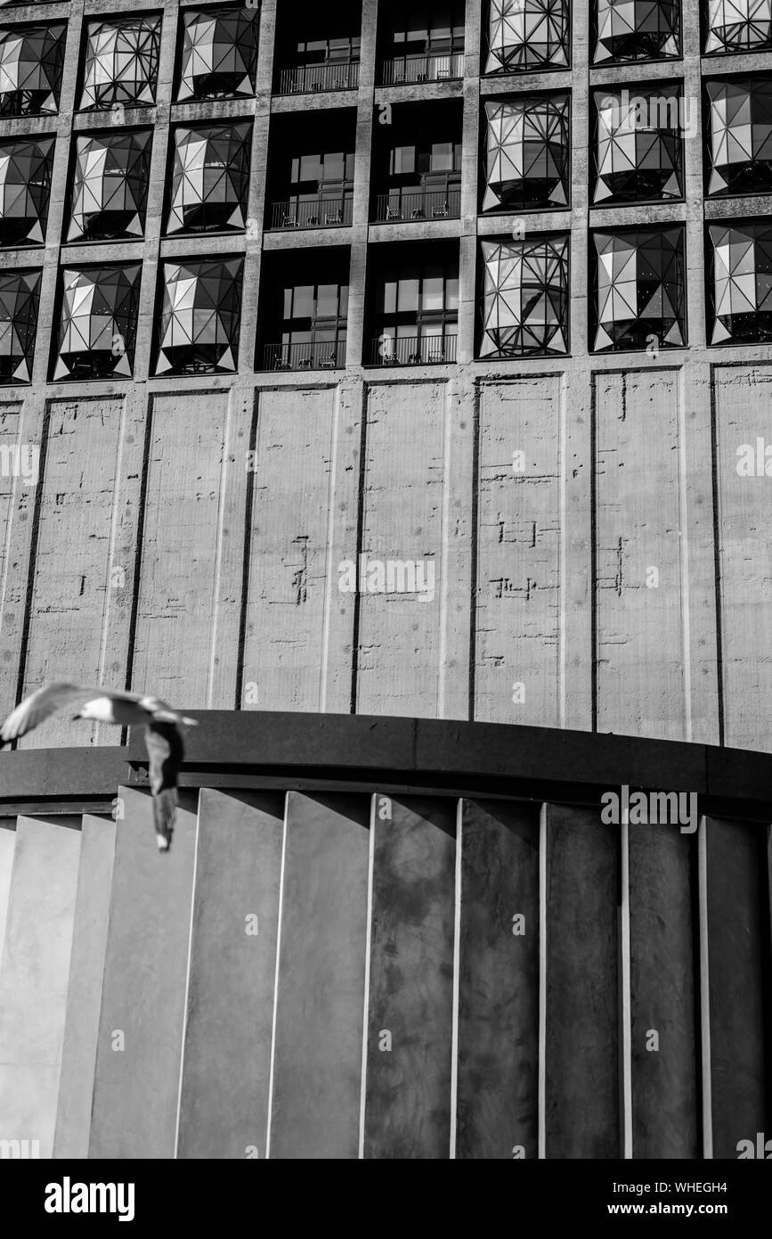 Zeitz mocaa windows Black and White Stock Photos & Images - Alamy