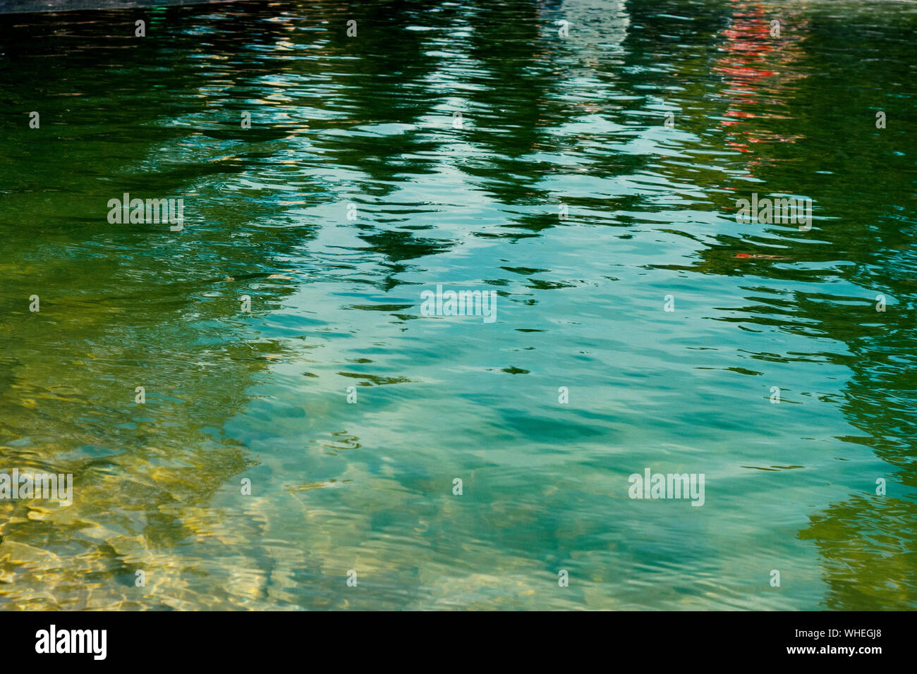 Lake or pond surface. Small wimples and transparent water with green ...