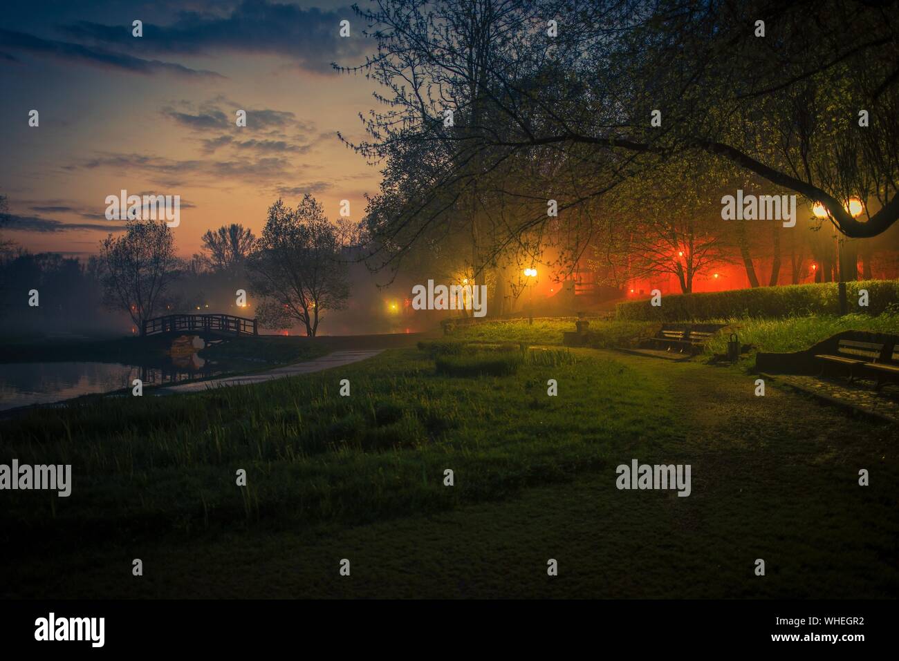 Night grass hi-res stock photography and images - Alamy
