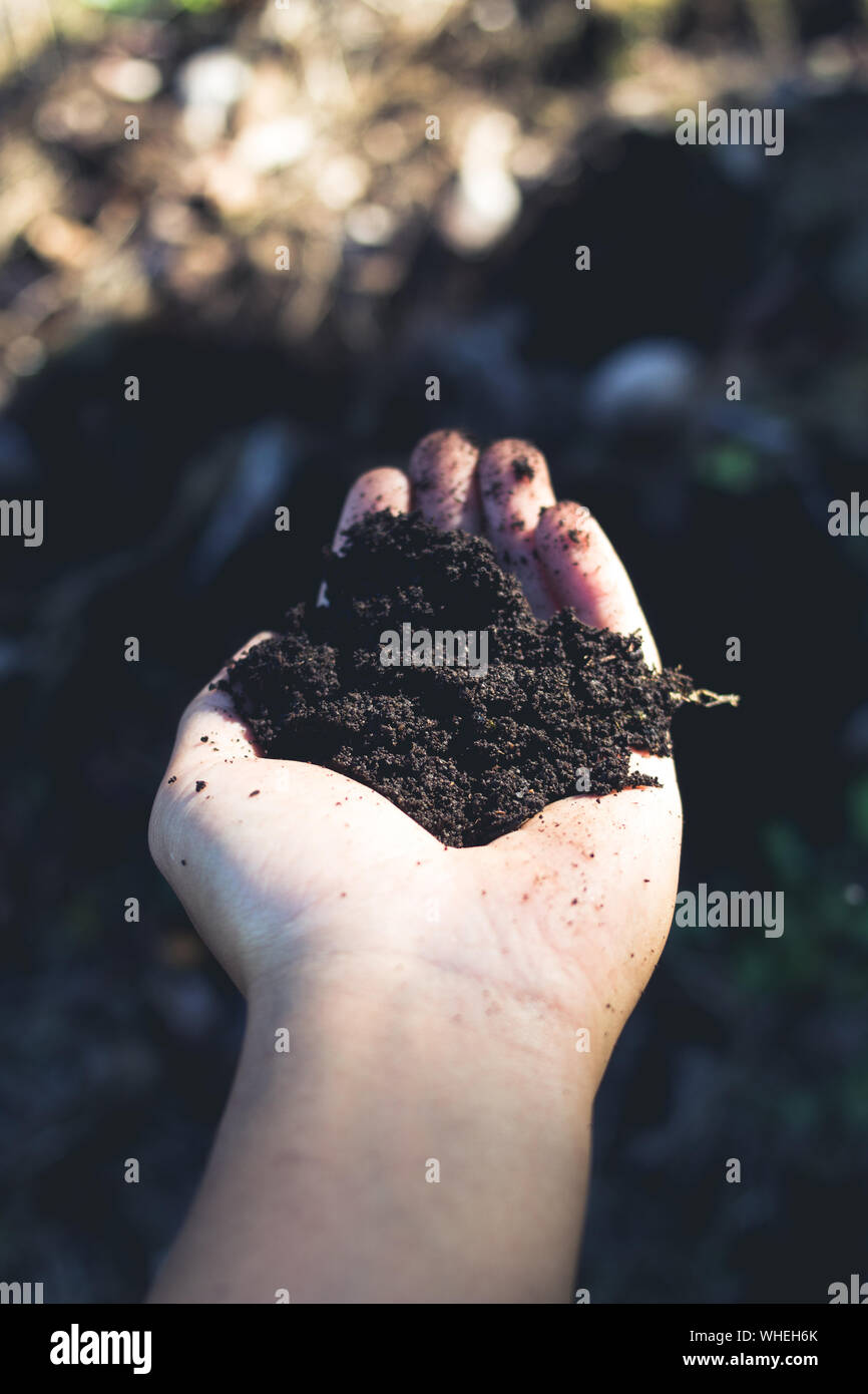 Hand in soil hi-res stock photography and images - Alamy