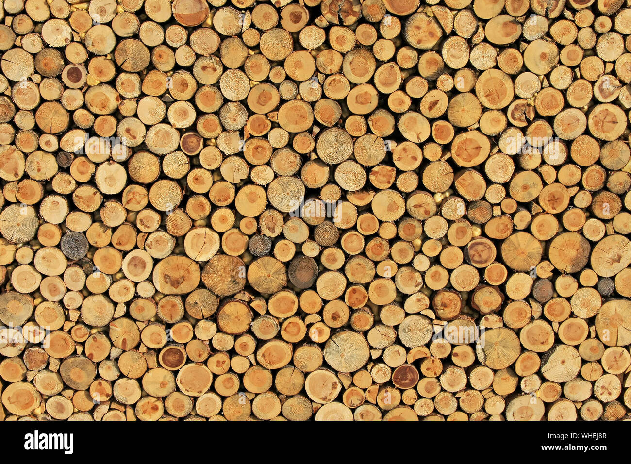 Big round log hi-res stock photography and images - Alamy