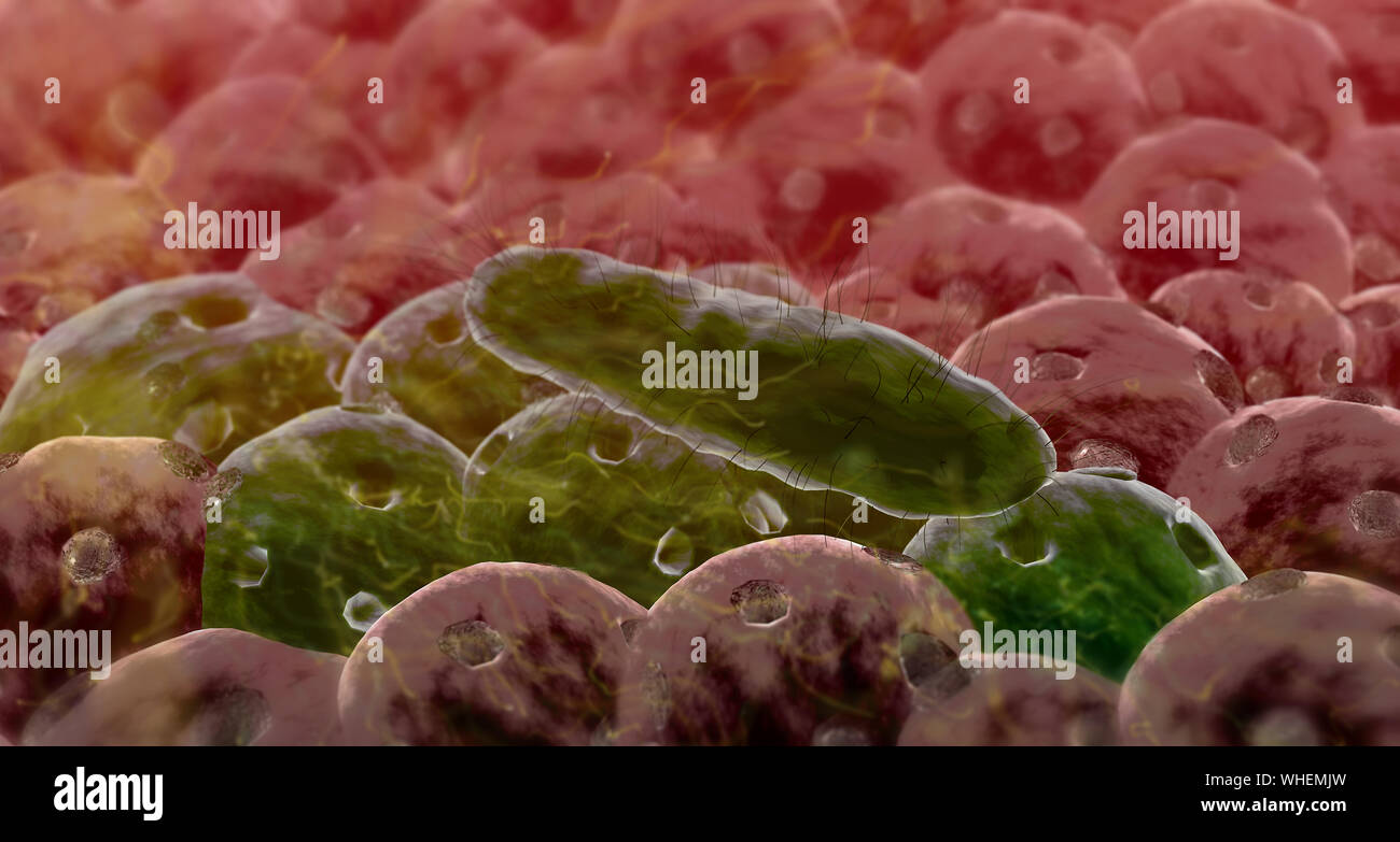 Bacterium wiggle hi-res stock photography and images - Alamy