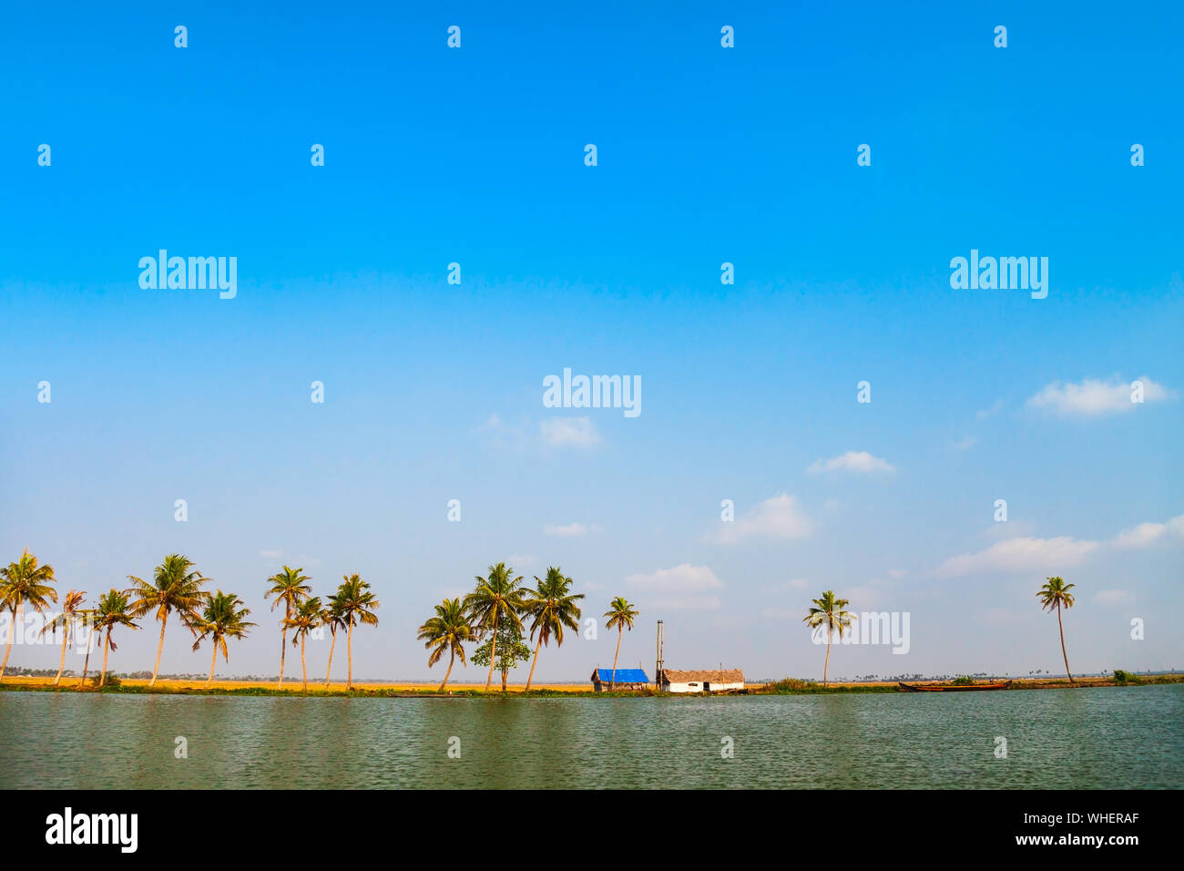 Alappuzha backwaters landscape in Kerala state in India Stock Photo - Alamy