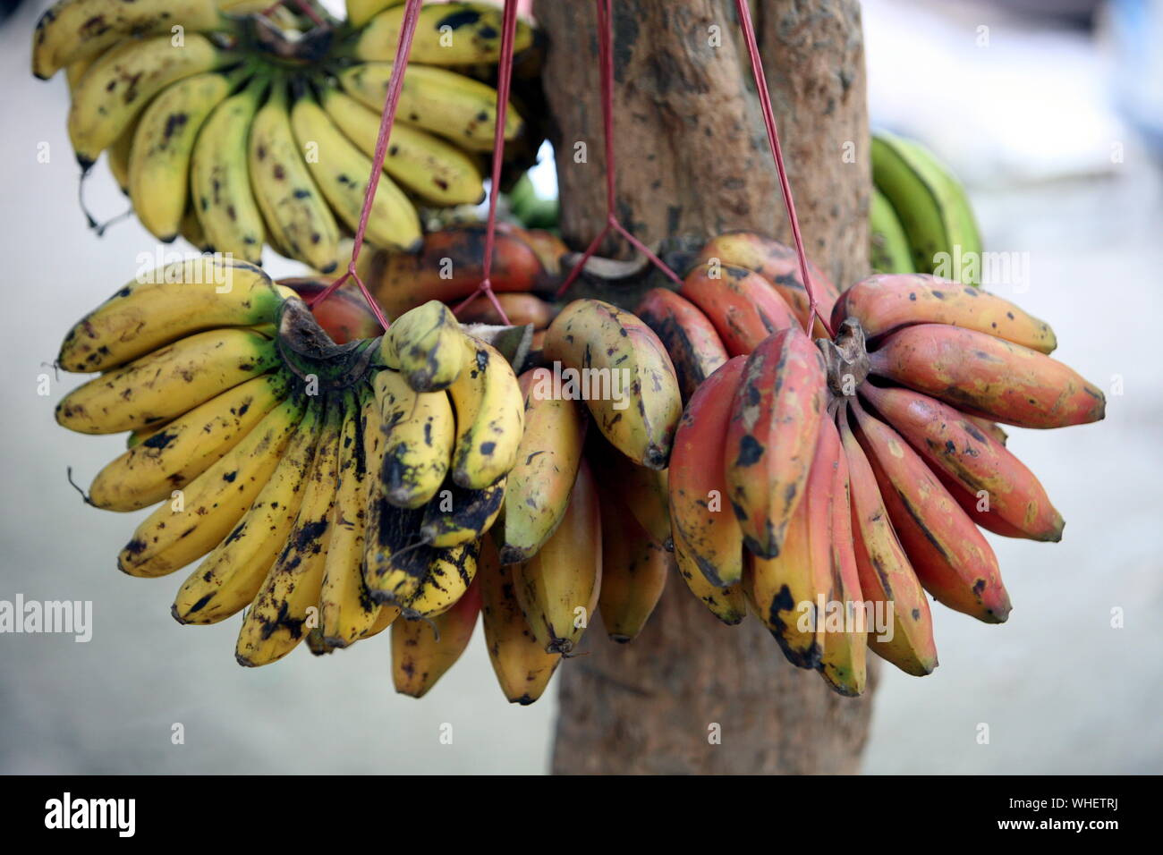Banana Strings High Resolution Stock Photography and Images - Alamy