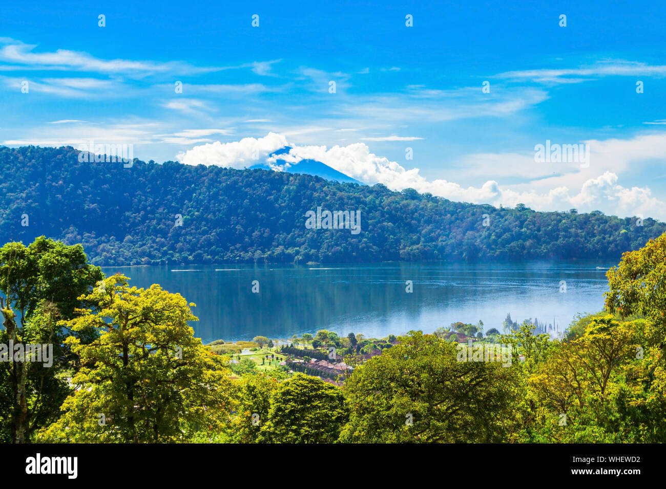 Bali Botanic Garden or Kebun Raya Bedugul is the largest botanic garden ...