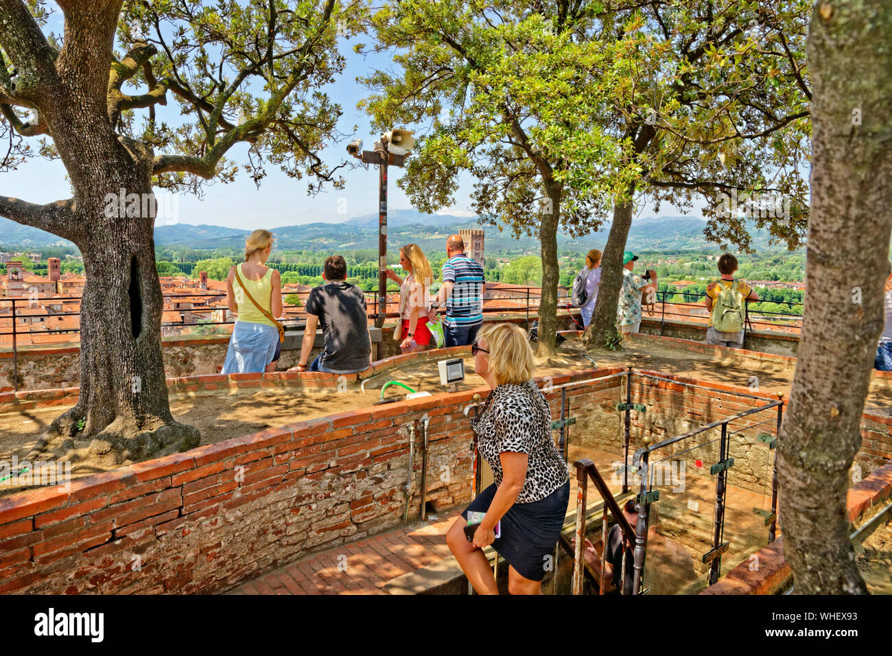 Lucca tower trees hi-res stock photography and images - Alamy