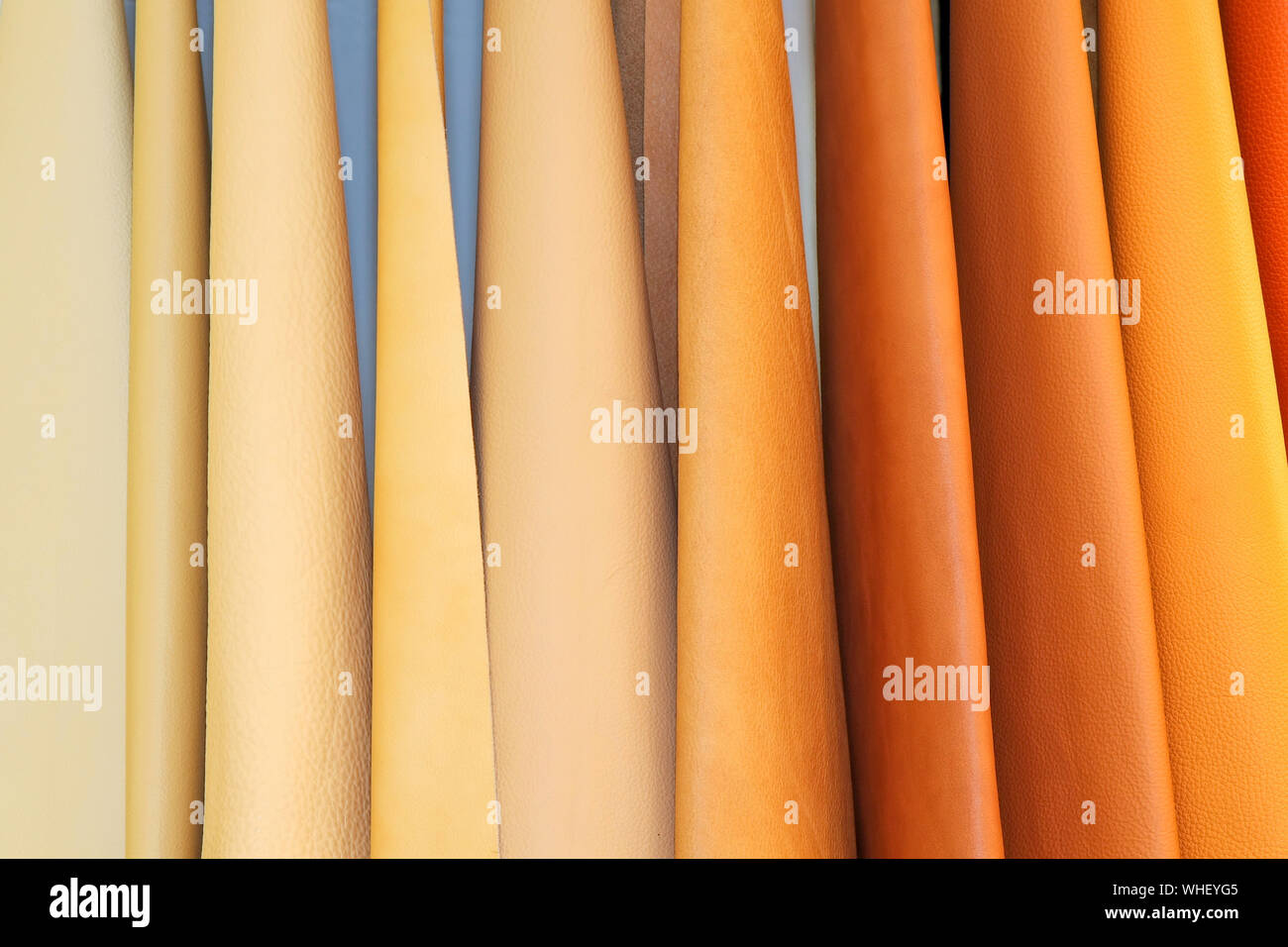 Color palette sample picker leather hi-res stock photography and images ...