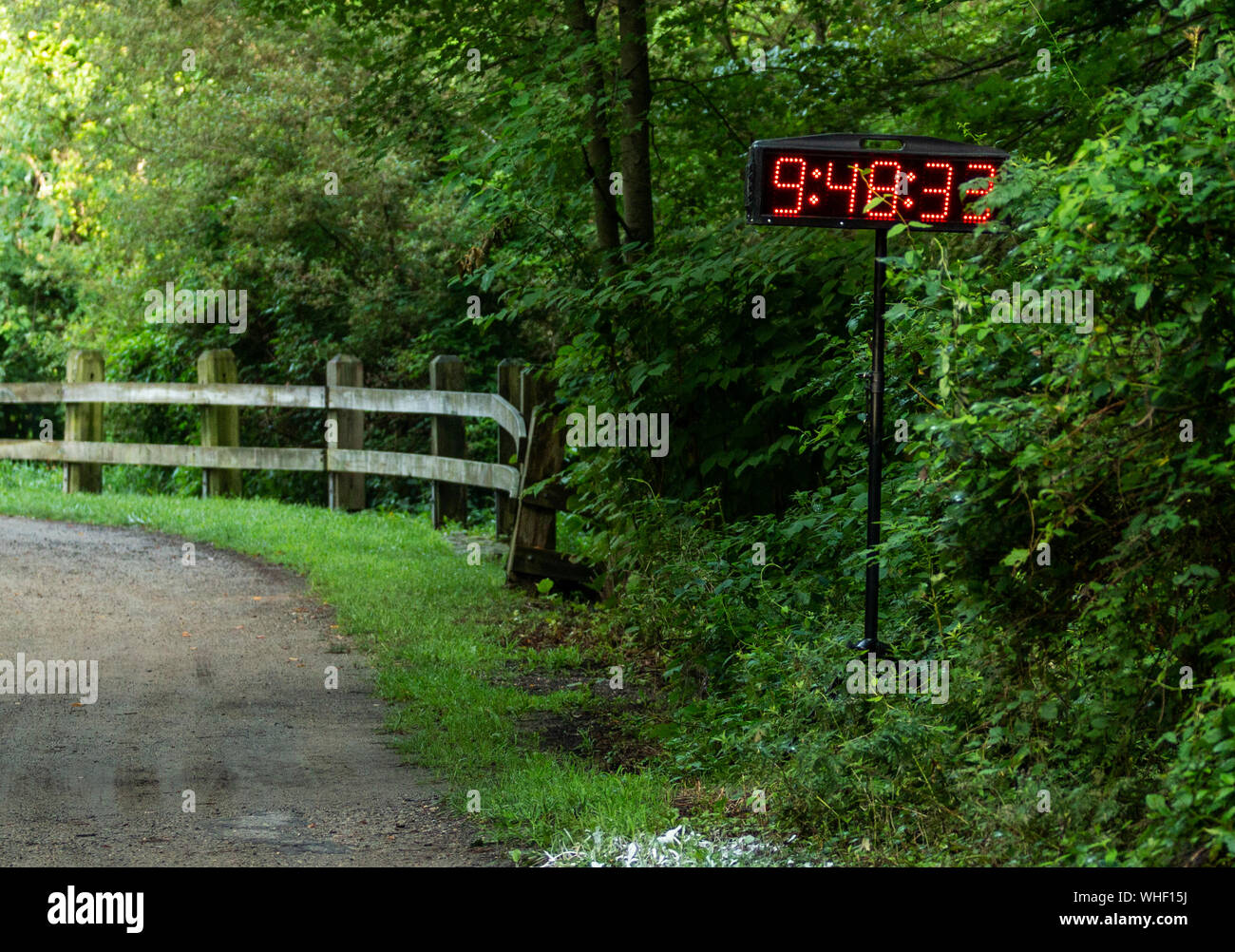 A clock is nine minutes into a 10K running race being held in the woods ...