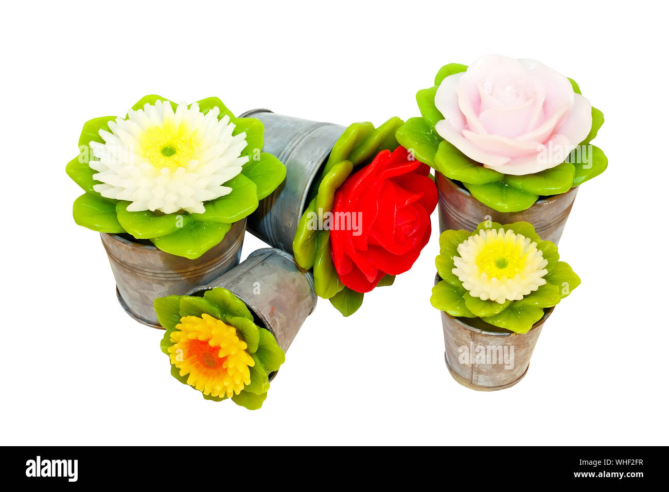 Flowers in cans isolated included clipping path Stock Photo - Alamy
