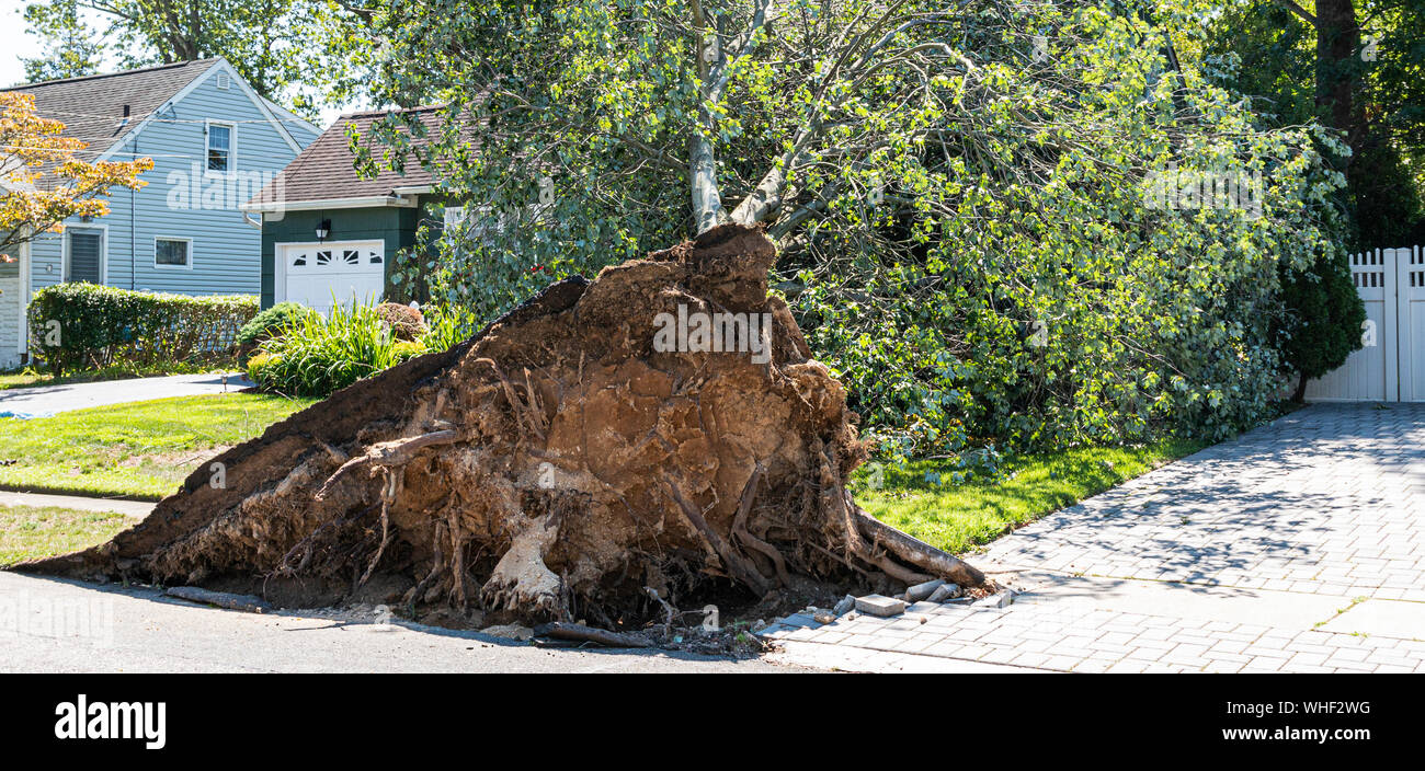 Microburst hi-res stock photography and images - Alamy