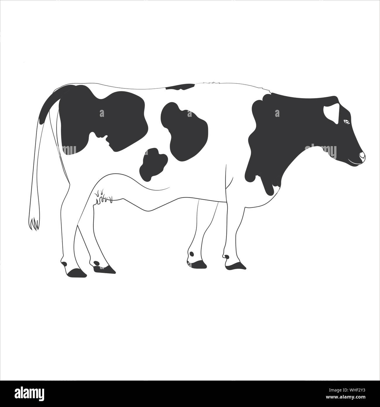 Milking buffalo Stock Vector Images - Alamy