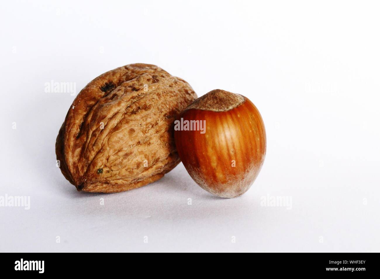 Walnut and chestnut hi-res stock photography and images - Alamy