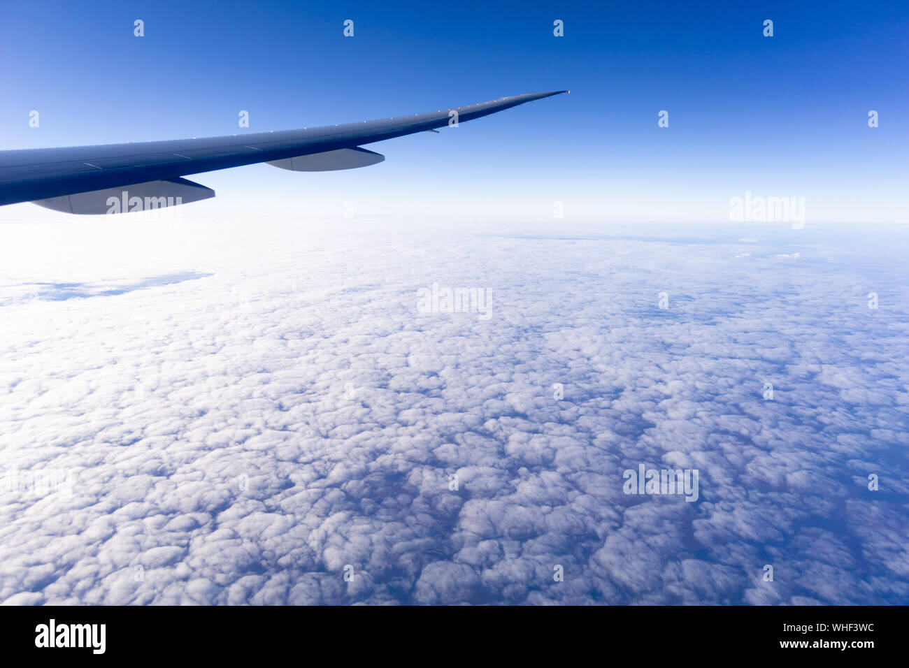 In flight plane wing through window above white fluffy clouds and blue ...