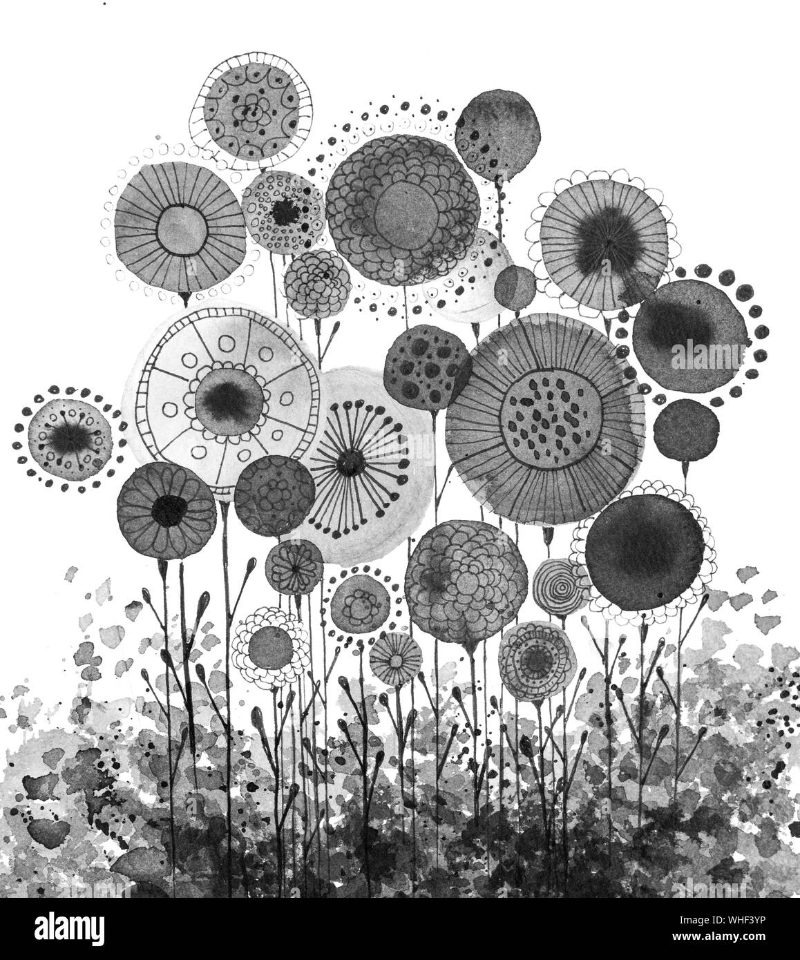 Chinese plant watercolour hi-res stock photography and images - Alamy