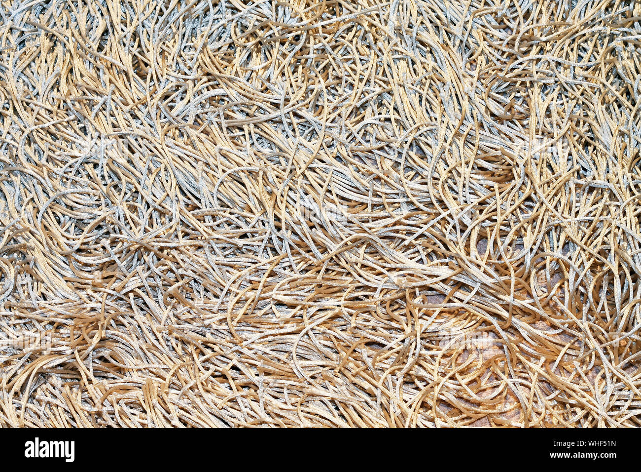 Cord spaghetti hi-res stock photography and images - Alamy