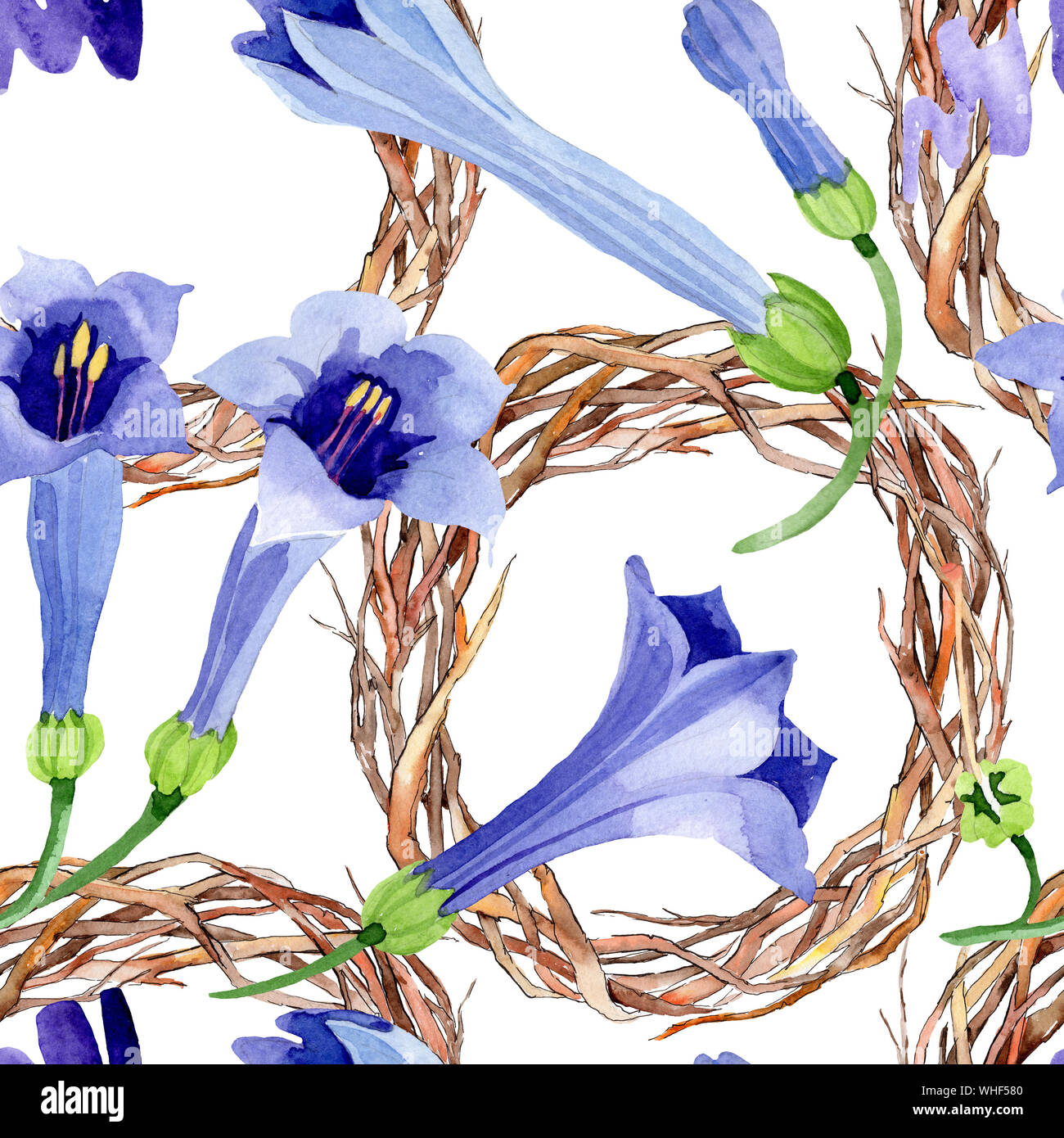 Blue brugmansia floral botanical flowers. Watercolor background ...