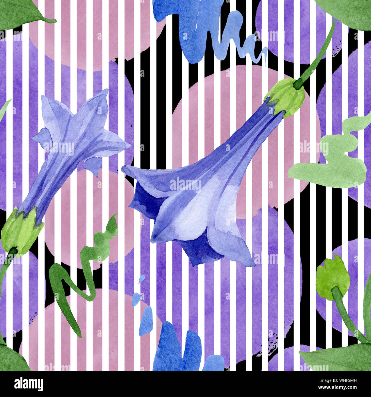 Blue brugmansia floral botanical flowers. Watercolor background ...