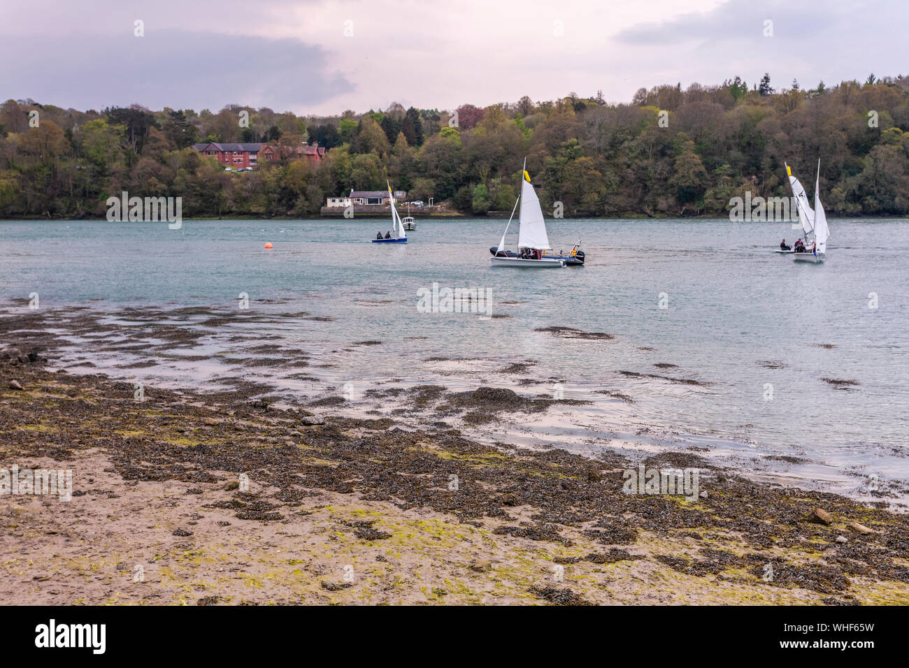 The Menai Strait is a narrow stretch of shallow tidal water about 25 km ...