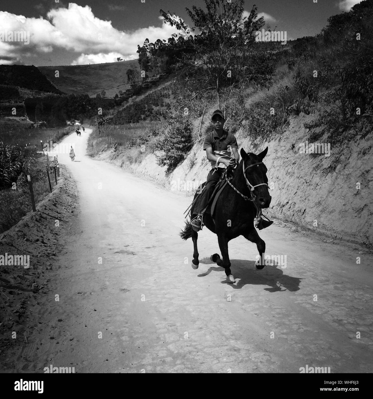 Horse full view Black and White Stock Photos & Images - Alamy