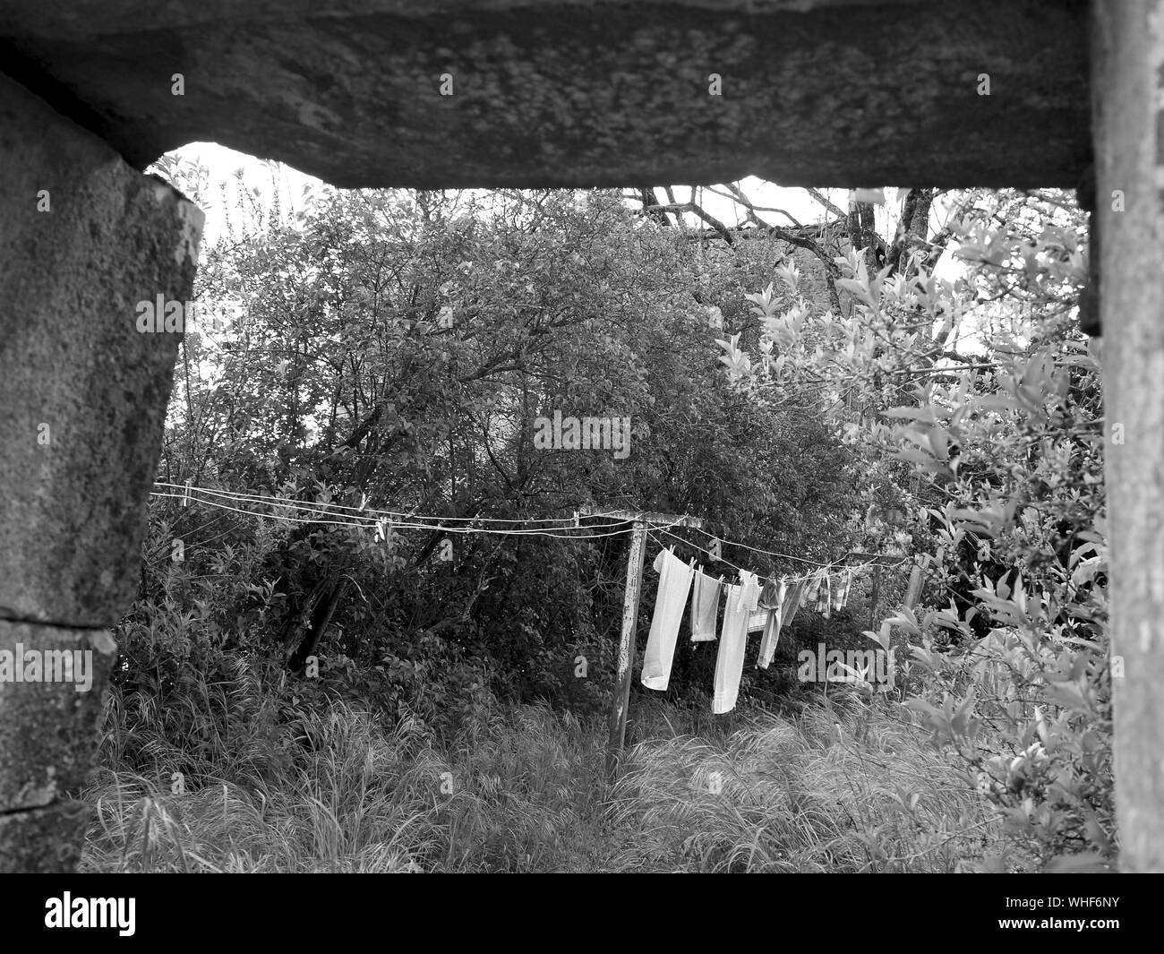 No Clothes Clothesline Black and White Stock Photos & Images - Alamy
