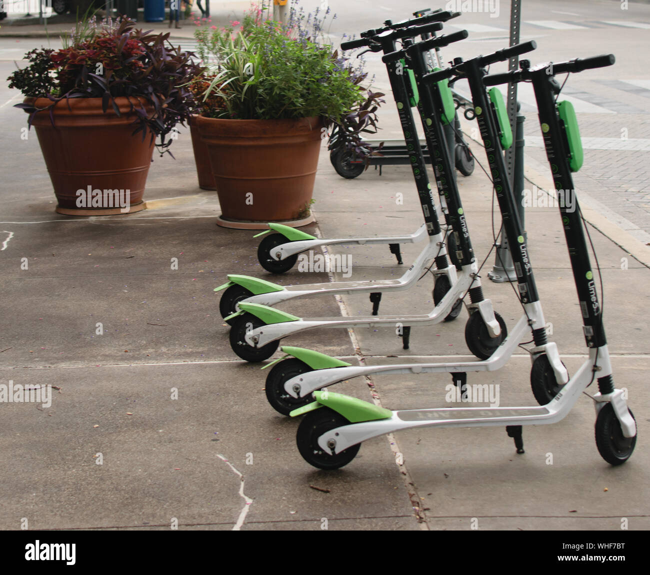 New electric scooters scooters hi-res stock photography and images - Alamy