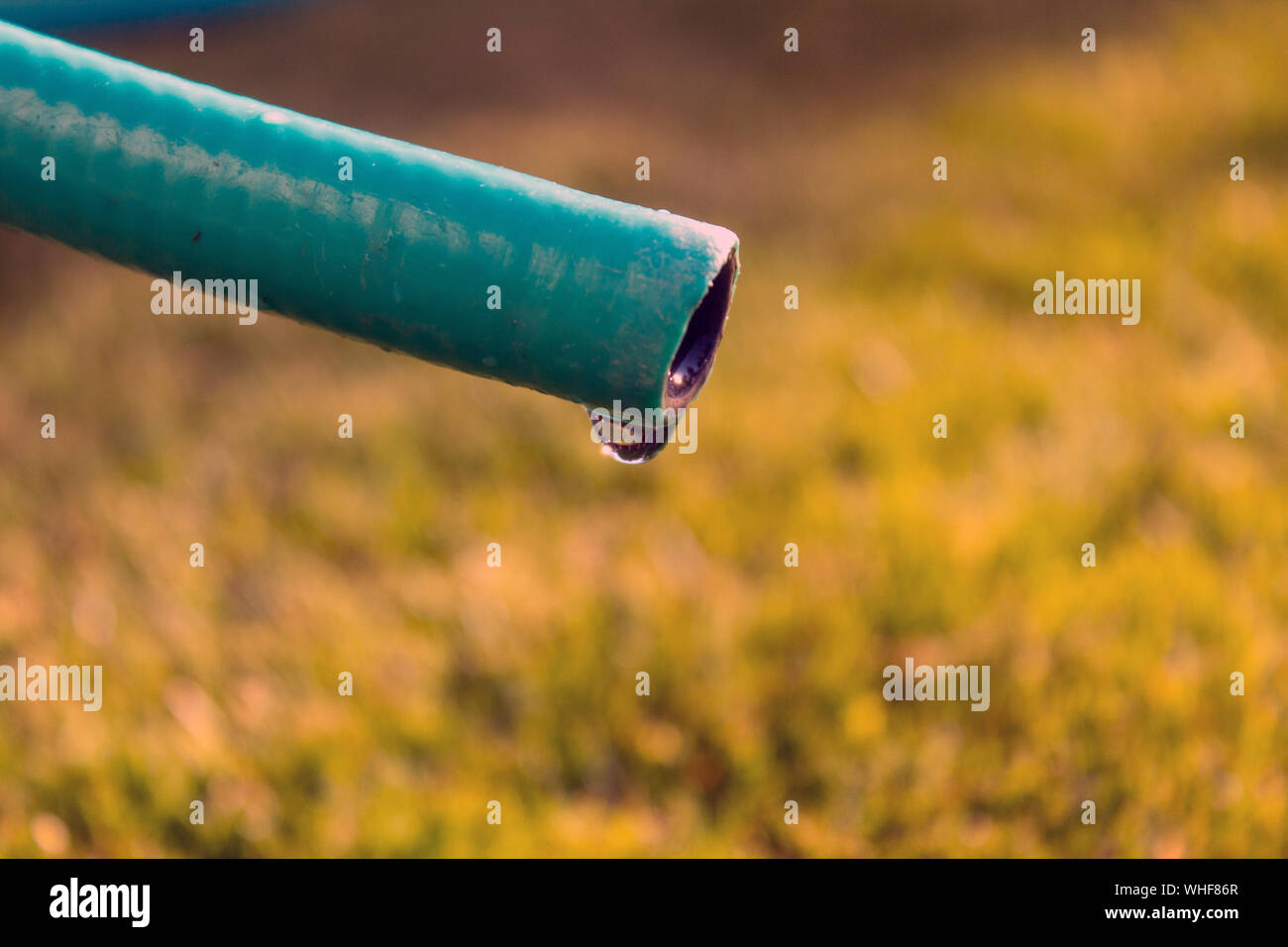 Close up of a drop of water which resists falling from the tip of a ...