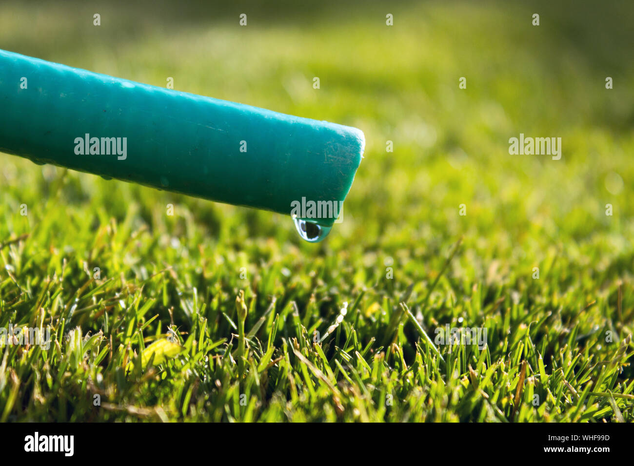Hose End Watering High Resolution Stock Photography and Images - Alamy